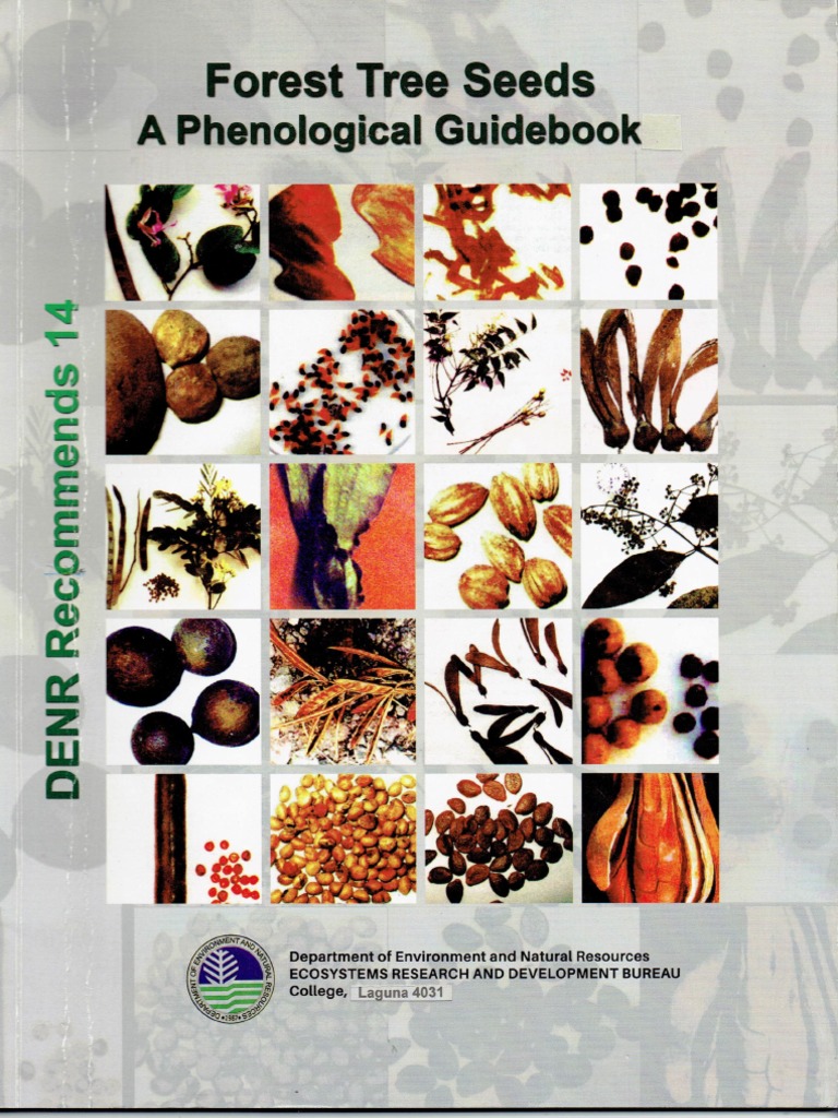 Forest Tree Seeds - A Phenological Guidebook PDF | PDF