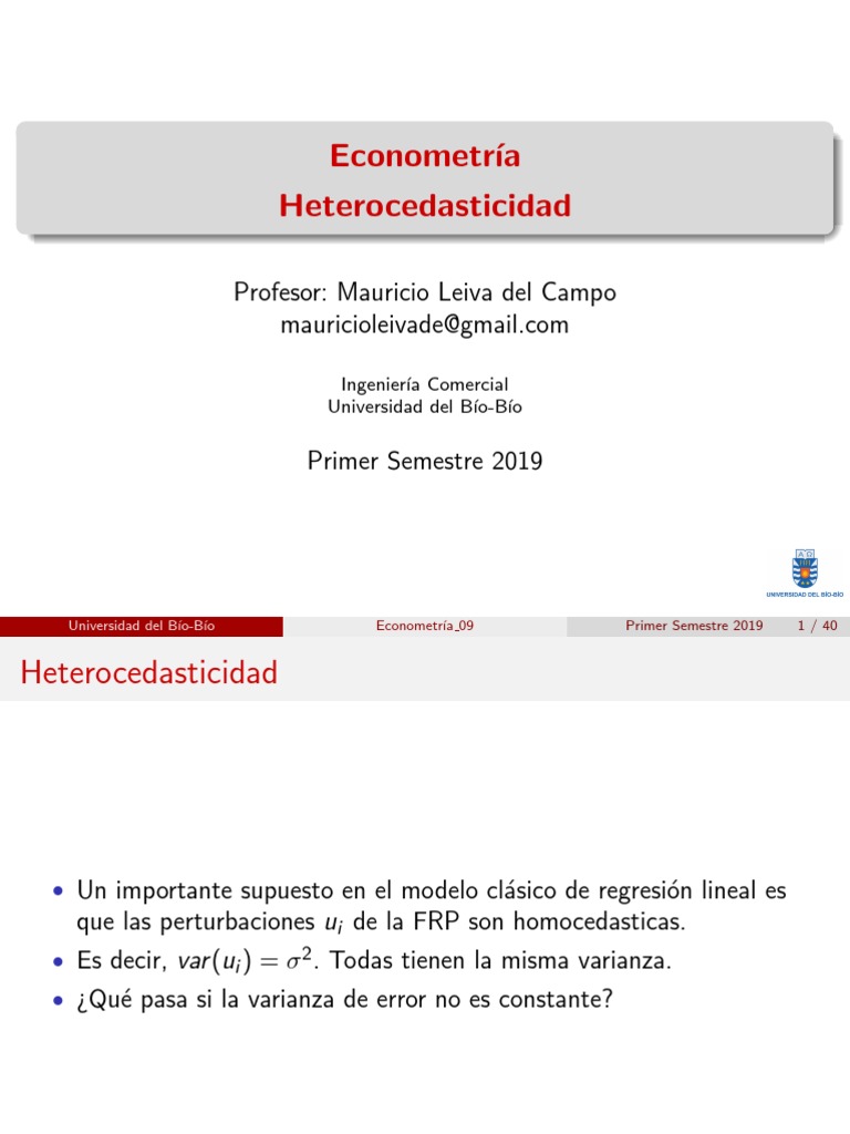 Econometr Ia Heterocedasticidad: Profesor: Mauricio Leiva Del Campo ...
