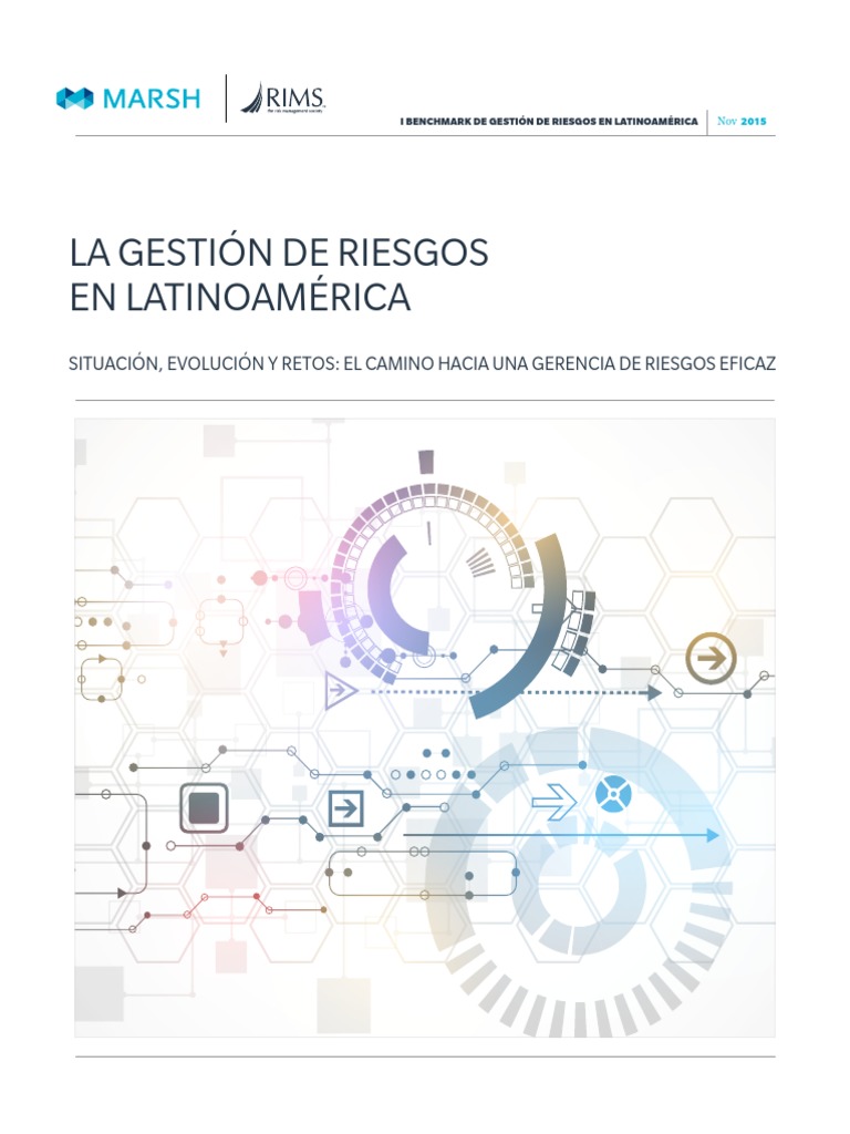 Latin America Risk Management Benchmark 2015-11-2015 | PDF | America ...