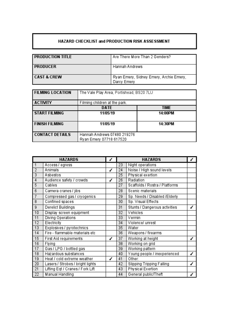 Gender Risk Assessment | PDF | First Aid | Risk Assessment