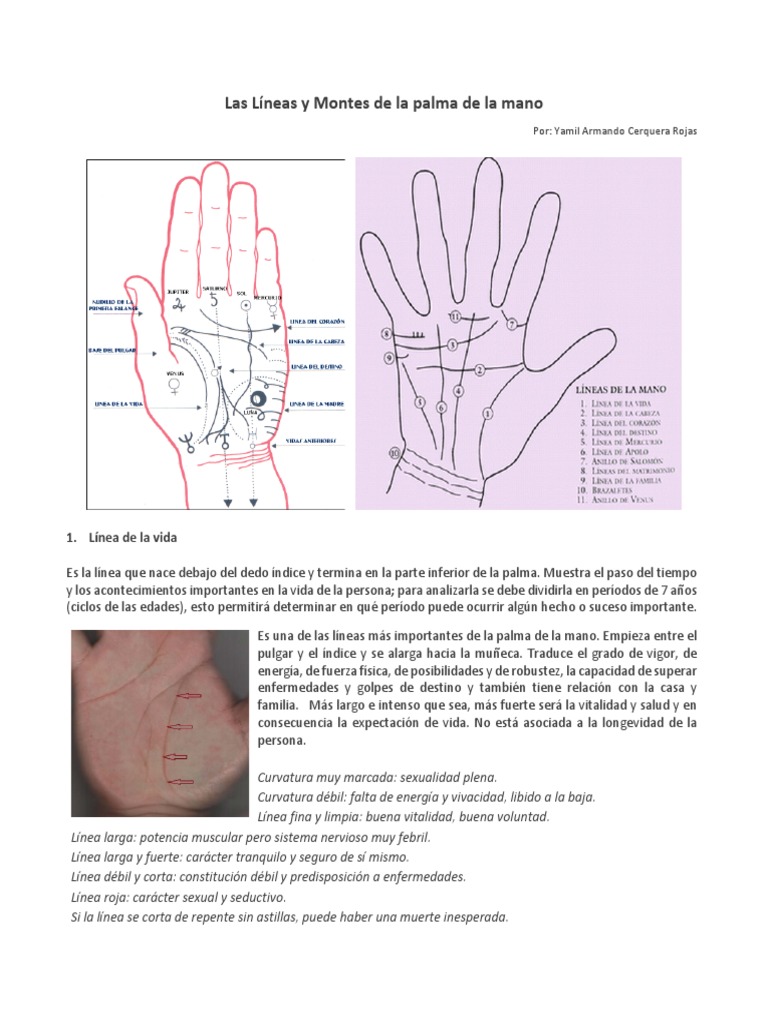 Interpretación de Líneas en la Mano | PDF | Mano | Vida