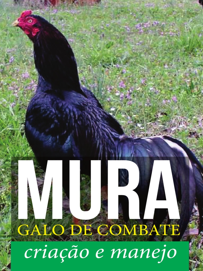 Manual de Criação e Manejo Do Galo Mura ZAP-1-2 | Natureza | Aves
