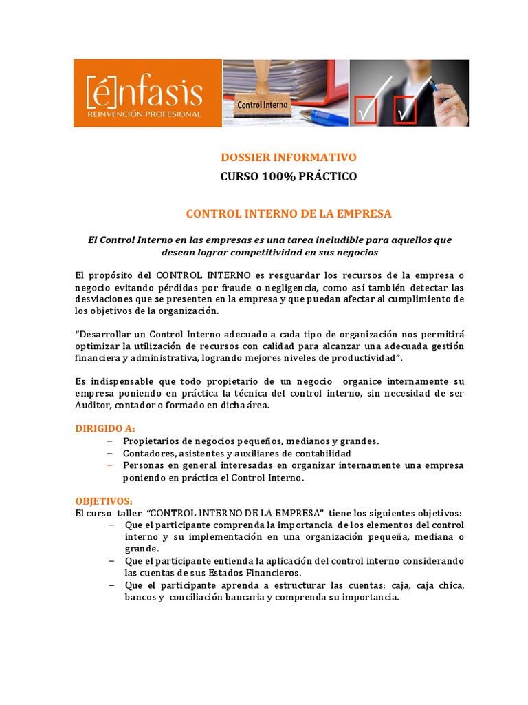 Dossier Informativo Control Interno | PDF | Contabilidad | Bancos