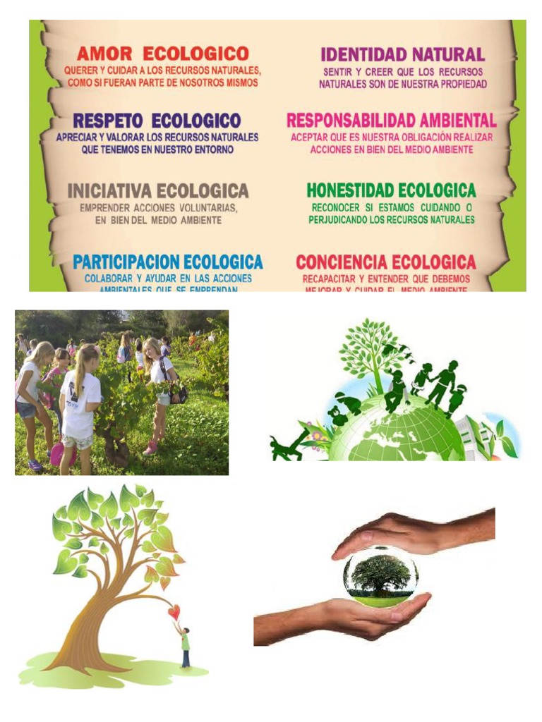 Valores Ecologicos | PDF | Biogeoquímica | Natureza