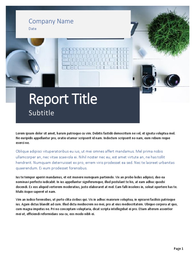 Report Title: Subtitle | PDF | Personal Computers | Personal Computing
