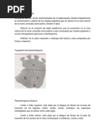 Pelmatoscopia Forense | PDF | Pie | Huella dactilar