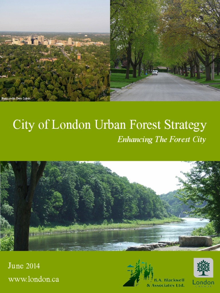 London Urban Forestry Strategy Final Pdf Pdf Forests Air Pollution