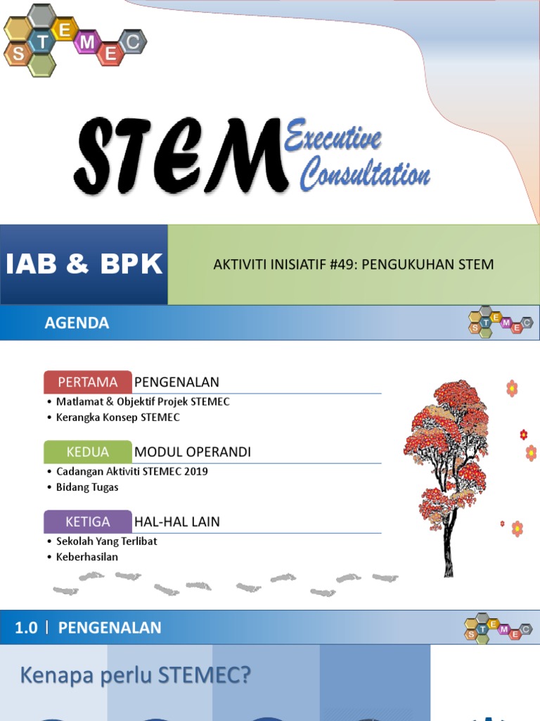 Pengenalan STEMEC | PDF