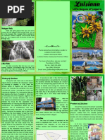 Typhoon Preparedness Brochure | PDF