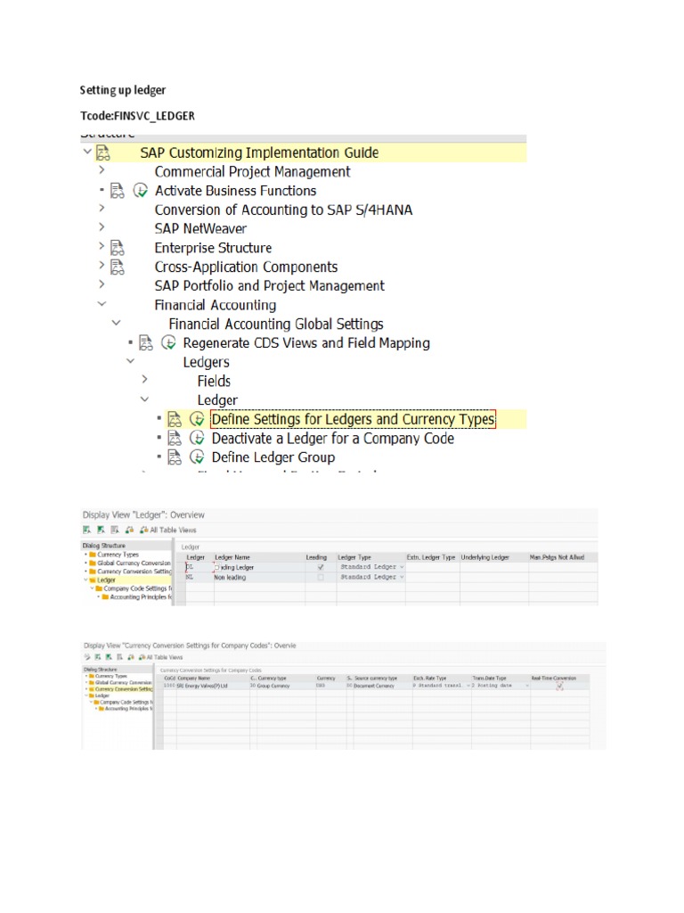 Setting Up Ledger Tcode:Finsvc - Ledger | PDF
