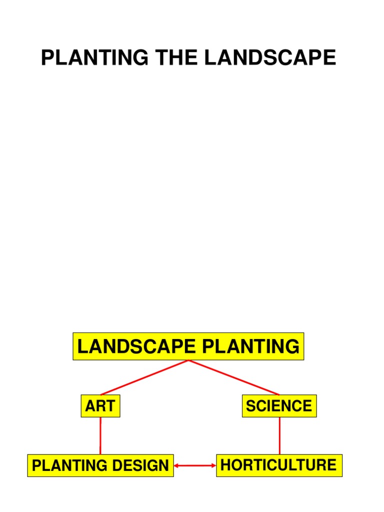 Planting The Landscape | PDF | Composition (Visual Arts) | Symmetry