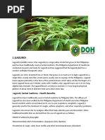 Lubby Santa | PDF | Horticulture And Gardening | Plants