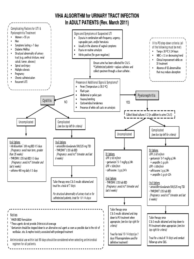 Algorith UTI 20121218 PDF | PDF | Urinary Tract Infection | Urology