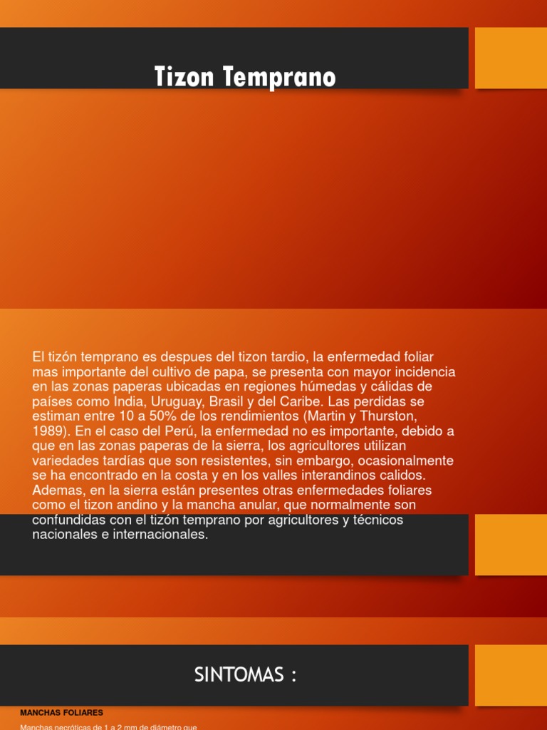 Control del Tizón Temprano en Papas | PDF | Patata | Hoja