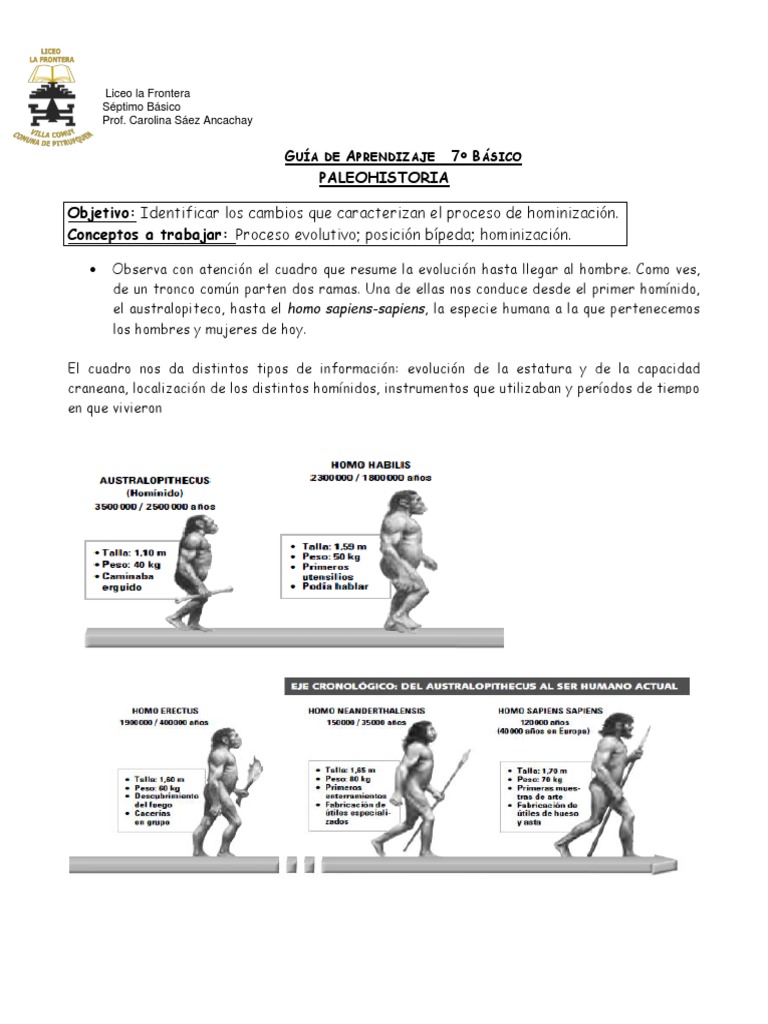 Guia Hominizacion | PDF | Evolución humana | Homo Sapiens