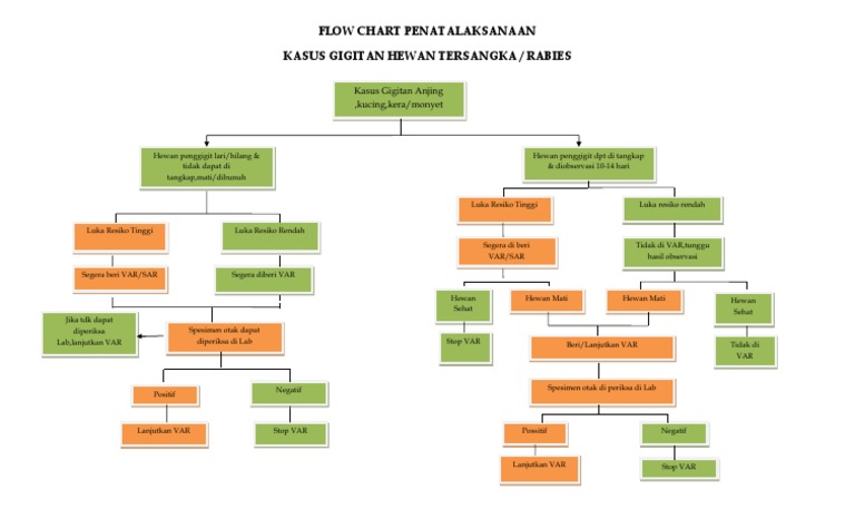 Flow Chart Penatalaksanaan Rabies | PDF