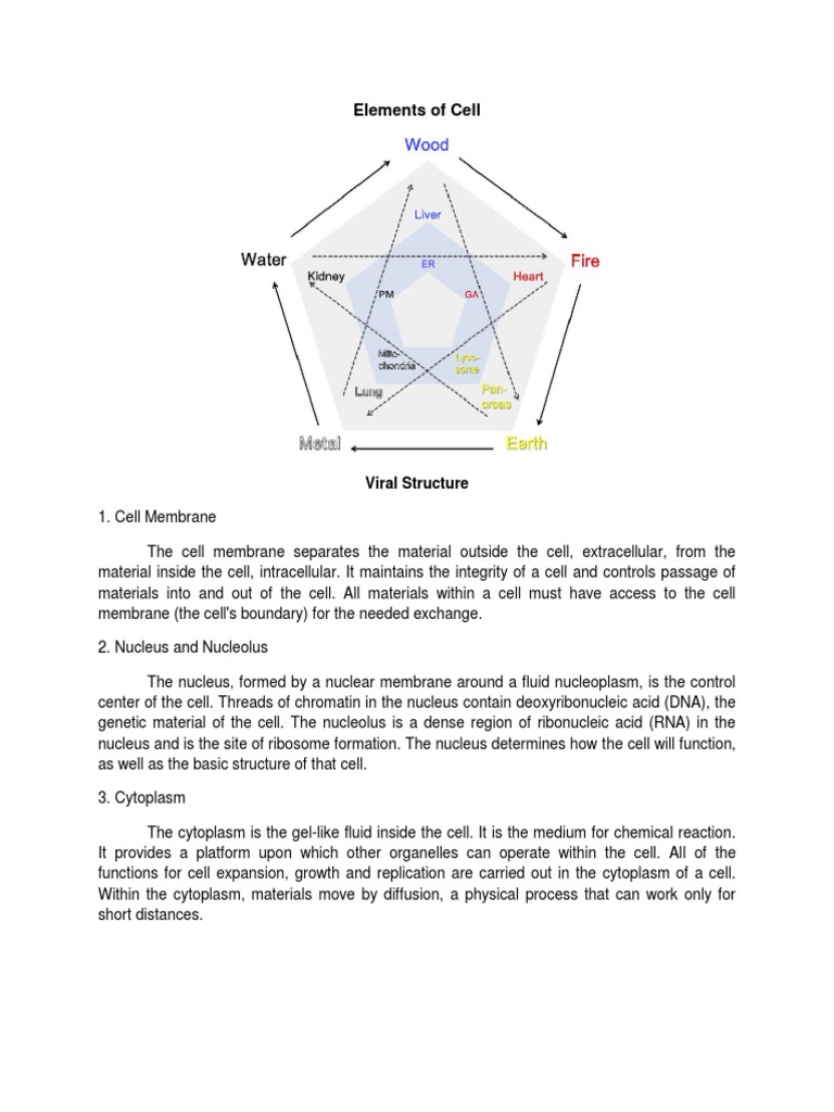 Elements of Cell | PDF