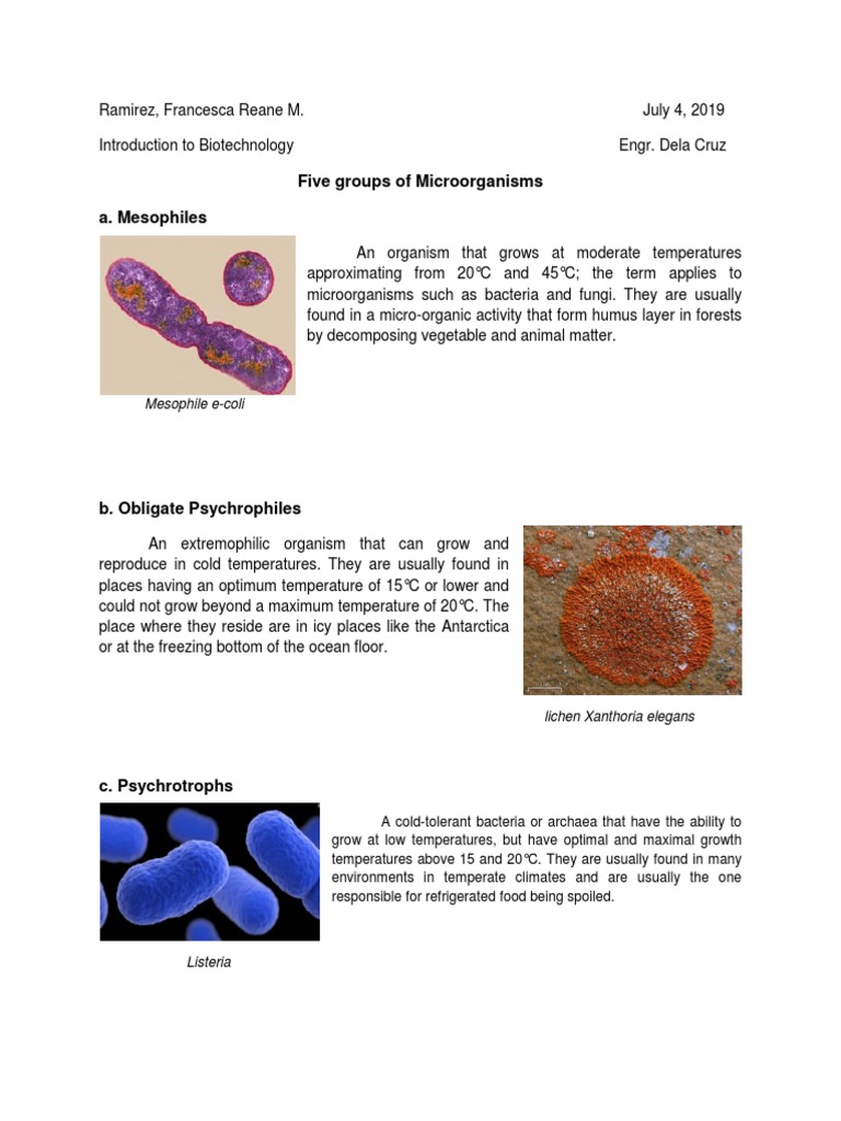 Five Groups of Microorganisms A. Mesophiles: Mesophile E-Coli | PDF ...