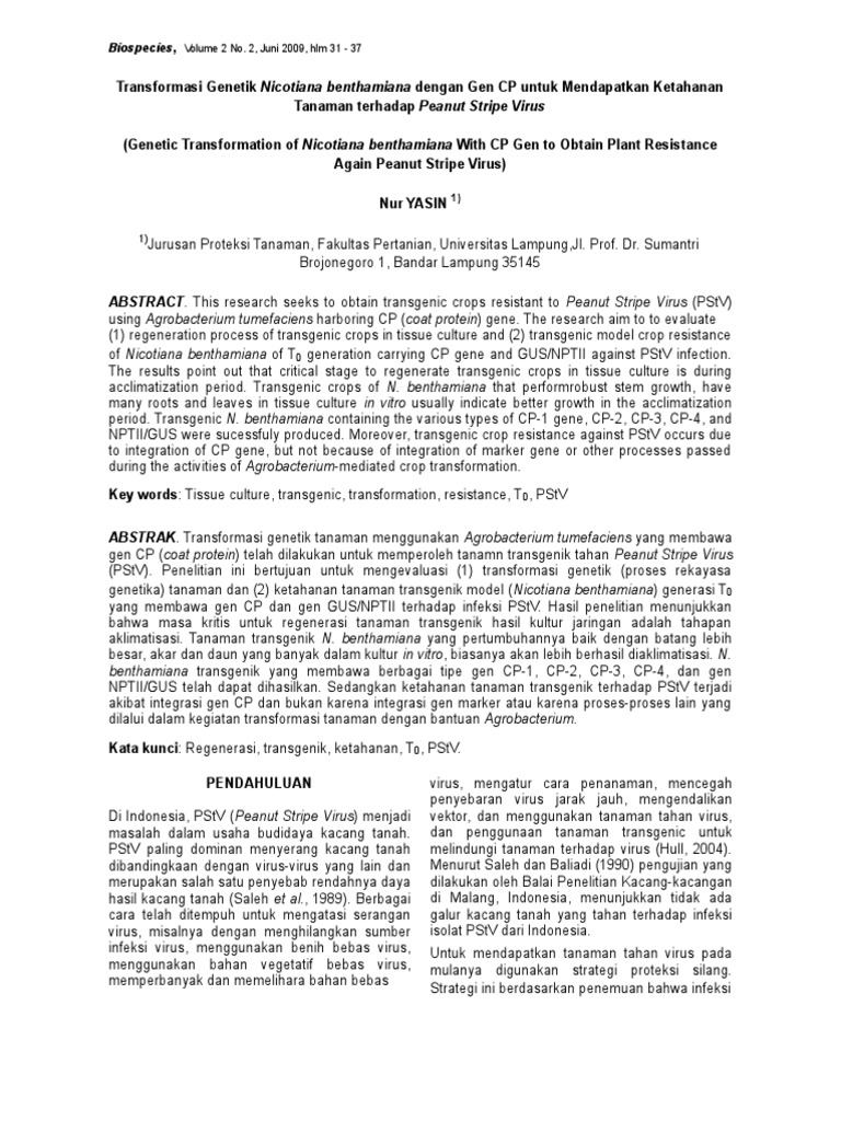 Abstract. This Research Seeks To Obtain Transgenic Crops Resistant To ...
