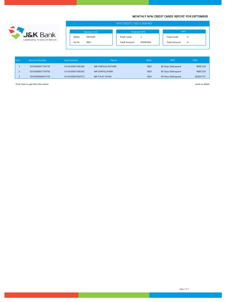 Business Unit Potential NPA NPA: Npa Credit Card Summary | PDF