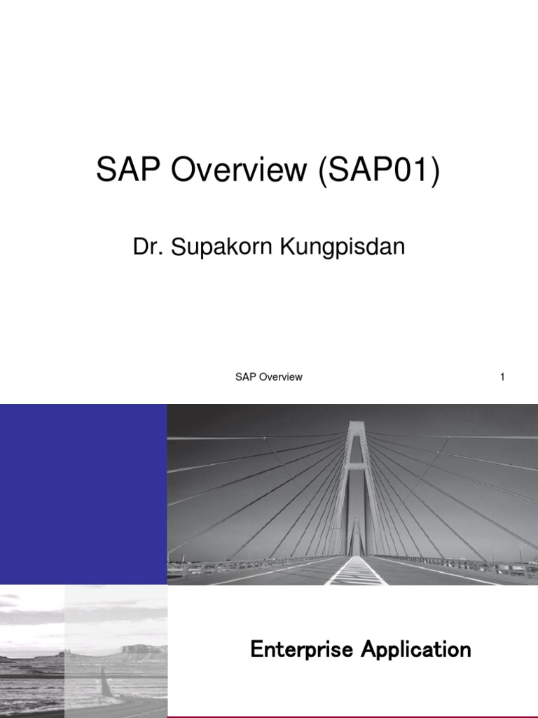 Sap Introduction | PDF | Enterprise Resource Planning | Sap Se
