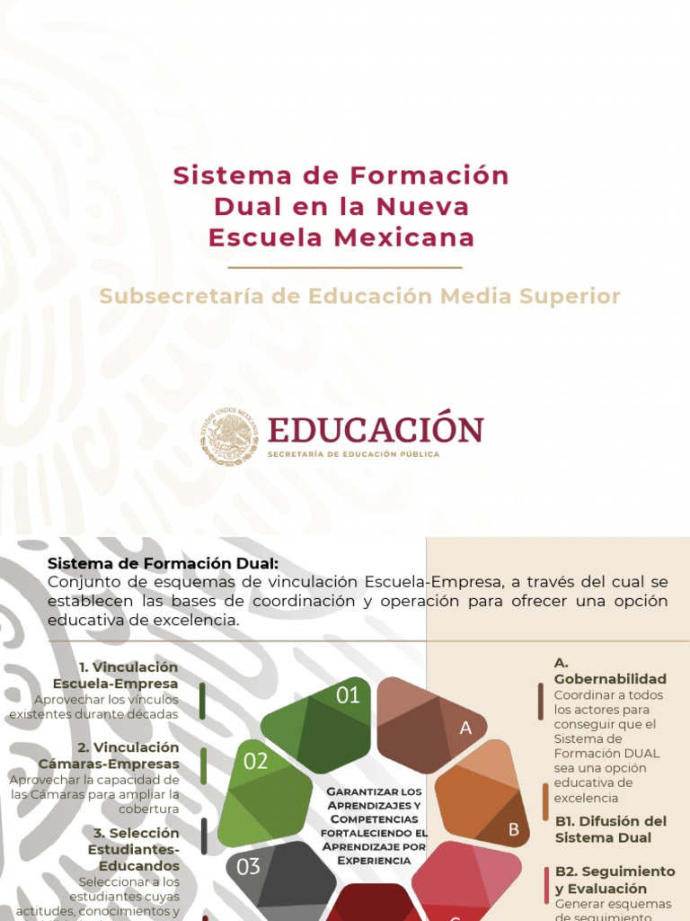 Sistema Formacion Dual | PDF | Plan de estudios | Educación Secundaria