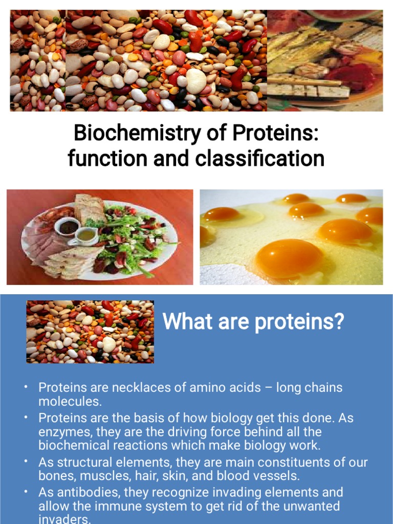 02 - Classification and Functions of Simple and Complex Proteins | PDF ...