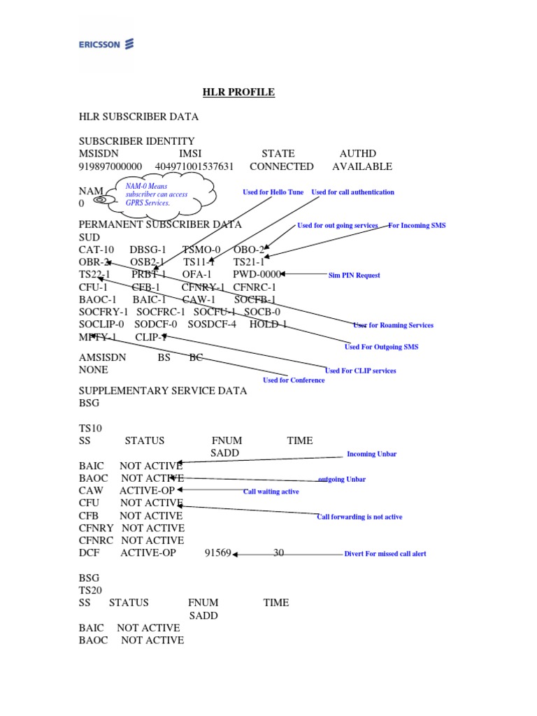 HLR Profile Document | PDF | Prepaid Mobile Phone | Data Transmission