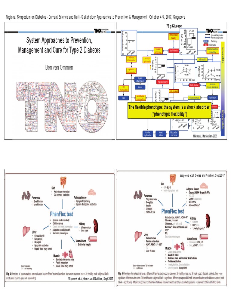 Multi-Organ Interactions and the Flexible Phenotype in Type 2 Diabetes ...