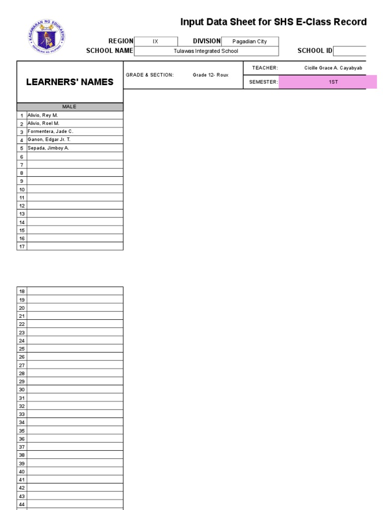 Learners' Names: Input Data Sheet For SHS E-Class Record | PDF | Learning | Behavior Modification
