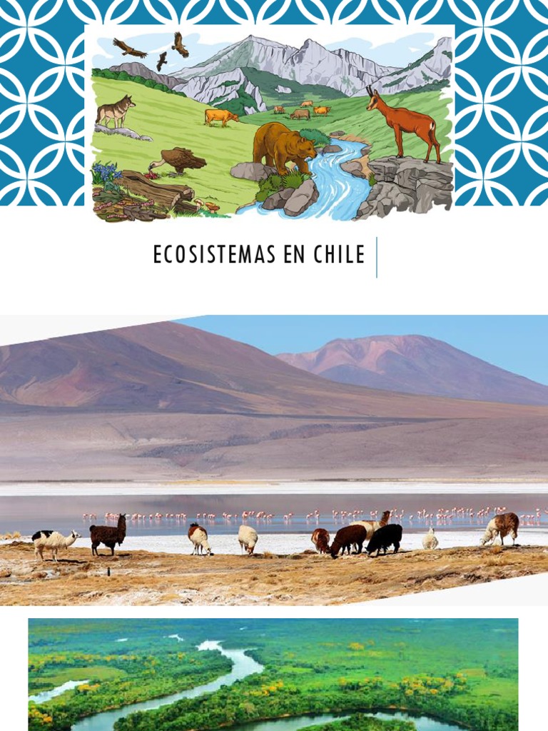 Ecosistemas Terrestres en Chile | PDF | Ecosistema | Biodiversidad