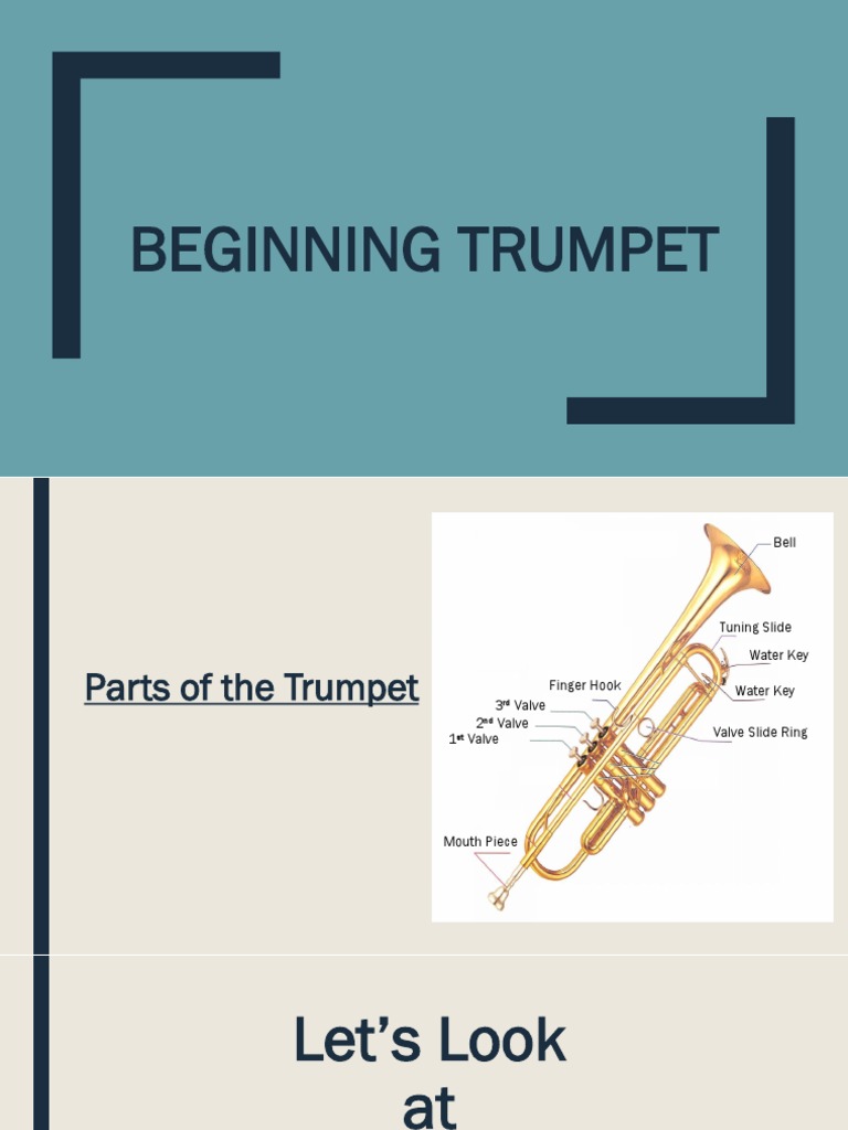 Beginner Trumpet Lesson Guide | PDF | Trumpet | Musical Instruments