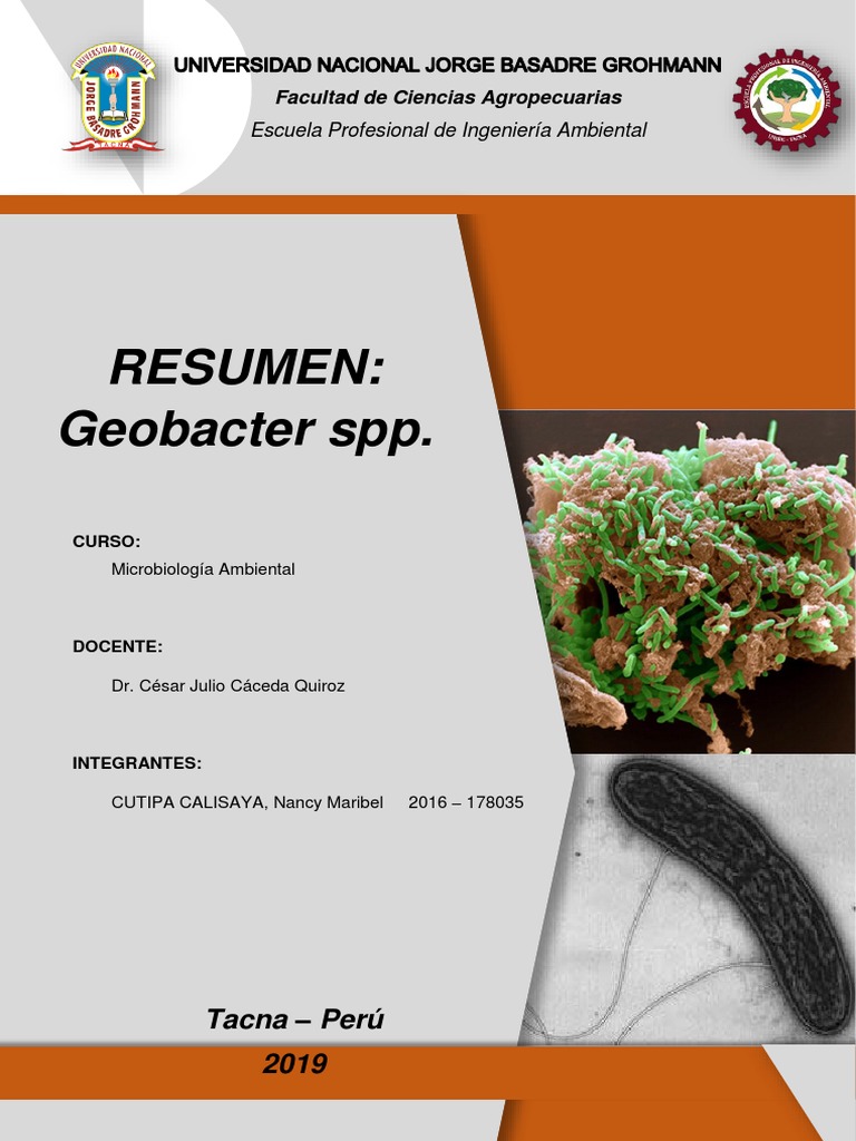 Resumen Geobacter SPP | PDF | Las bacterias | Hidrógeno