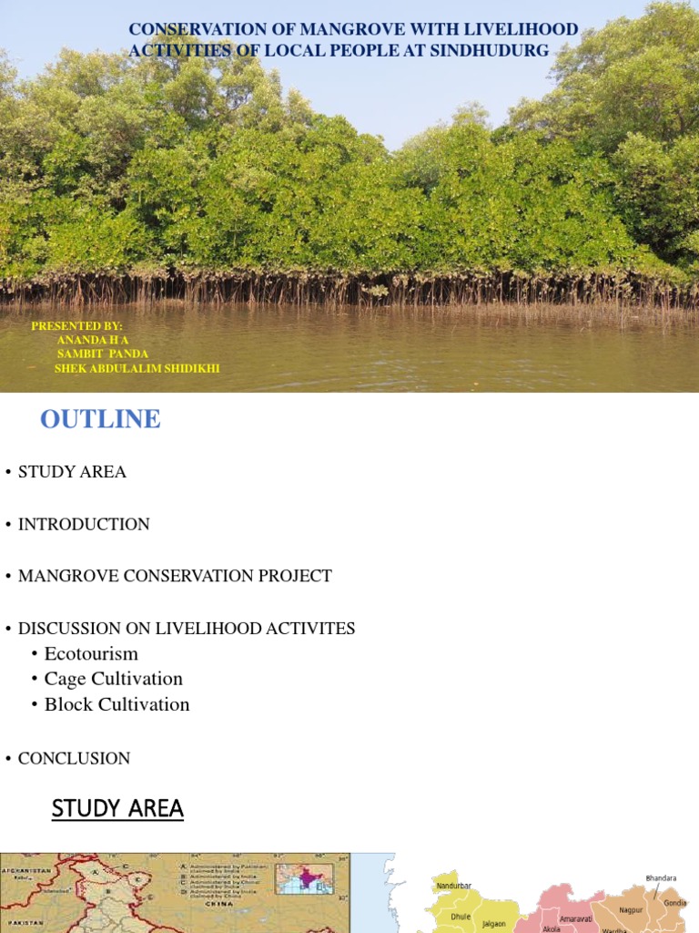 Mangrove Project Final1 | PDF | Mangrove | Oyster