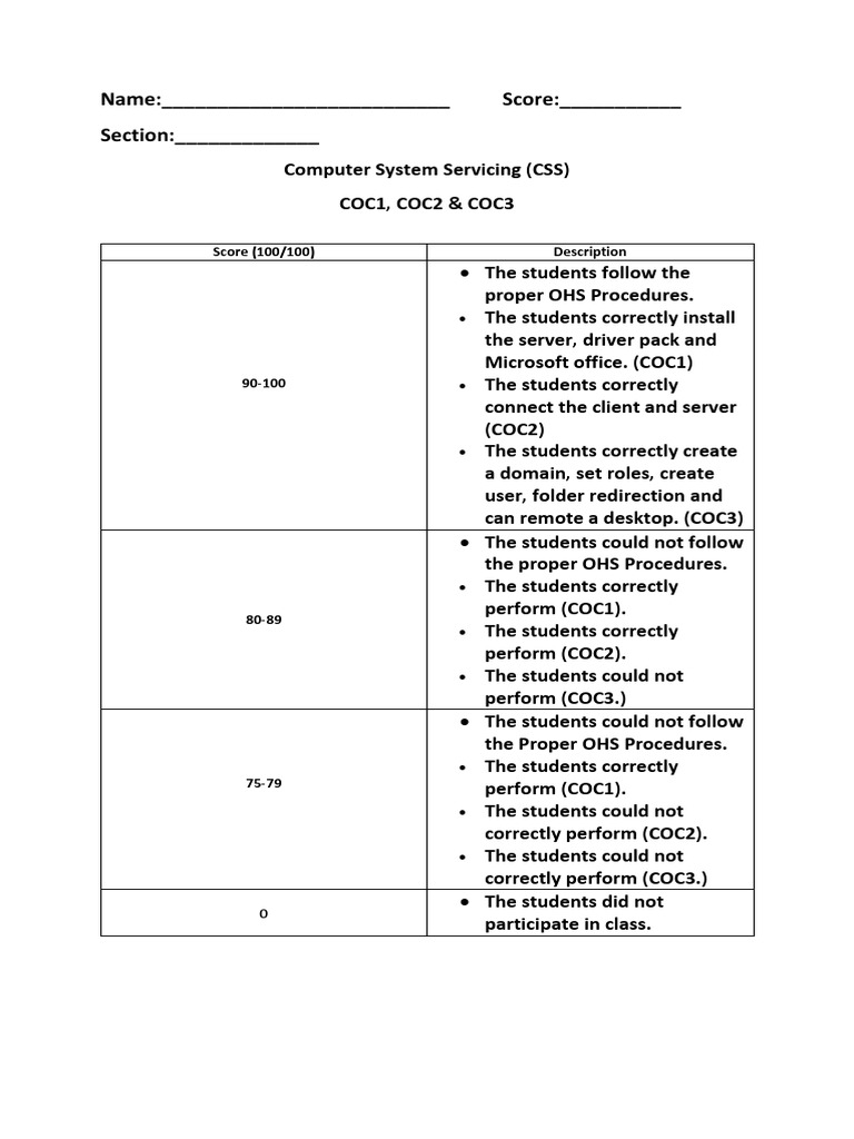 Activity 1 Holistic Rubrics - Final | PDF