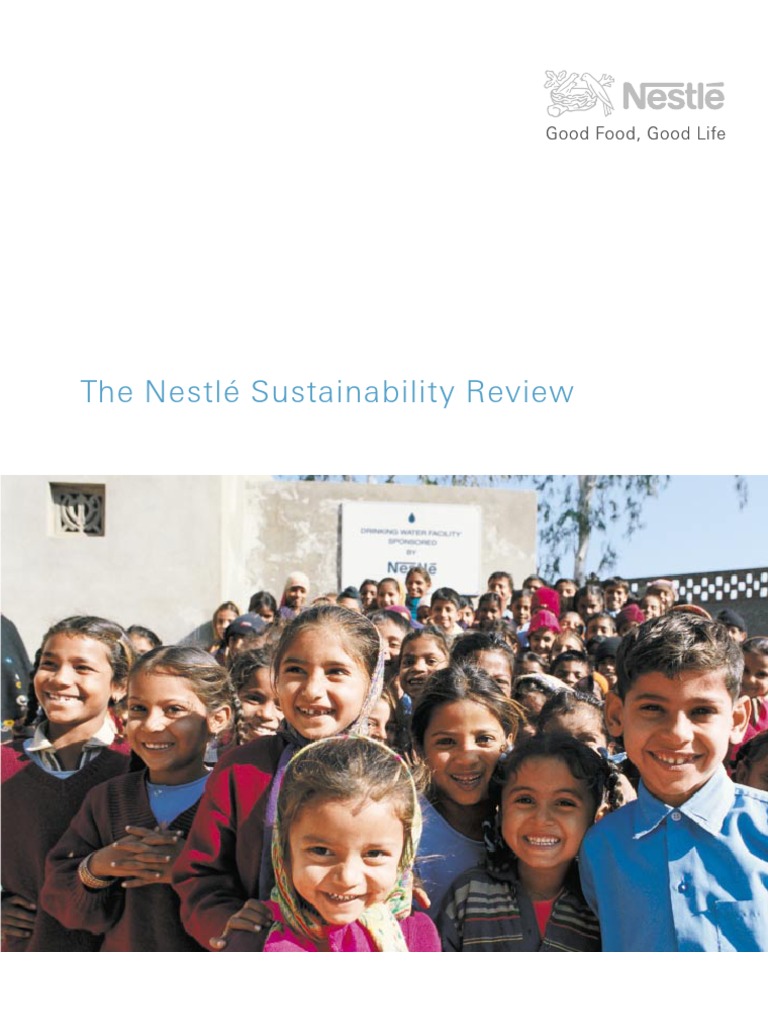 Sustainability Review English | PDF