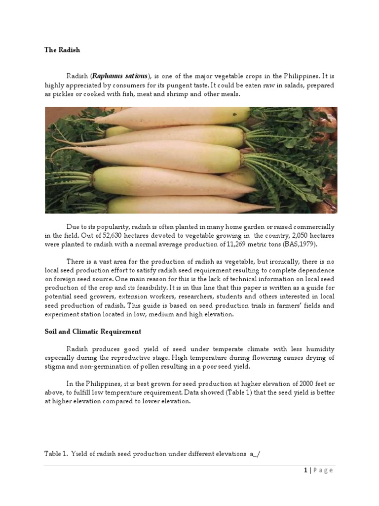 Radish Seed Production | PDF | Seed | Soil