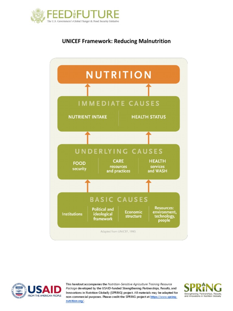UNICEF Framework: Reducing Malnutrition: Package Developed by The USAID ...