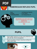 Ukuran Pupil Mata Normal dan Kelainan | PDF