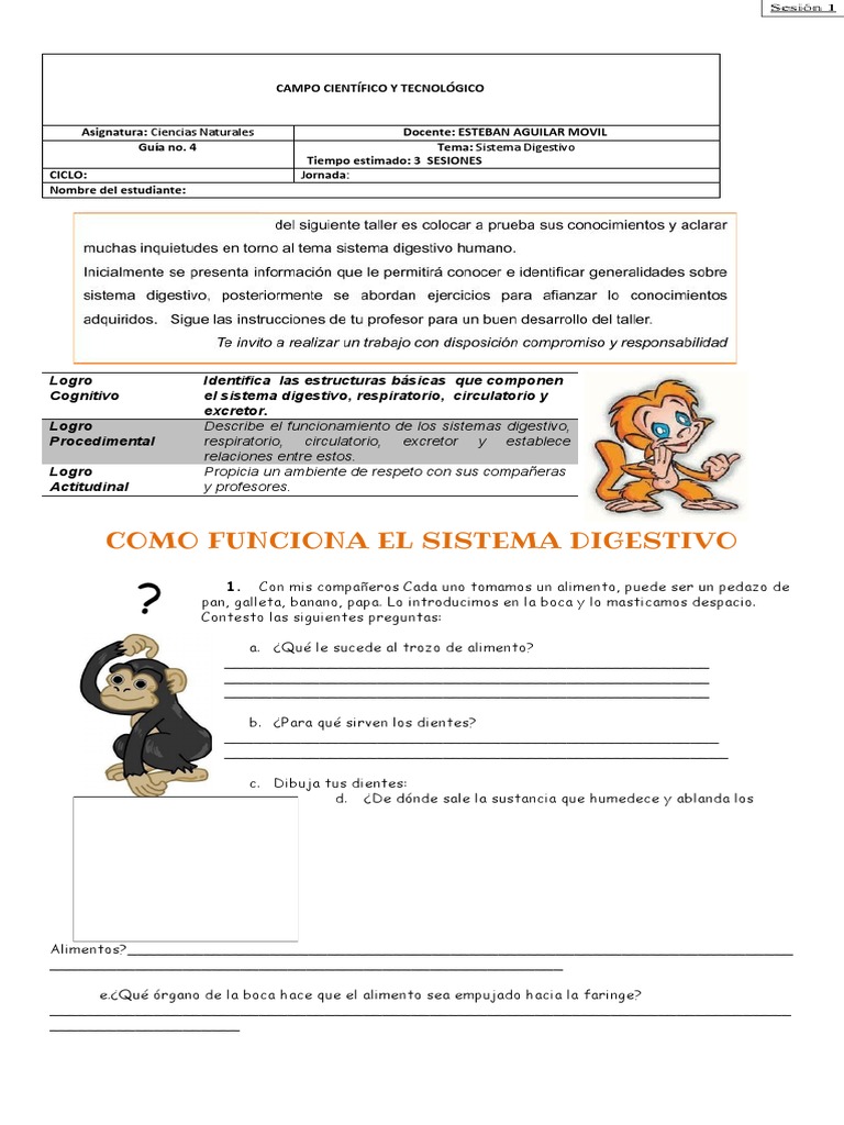 Guia 1 Sistema Digestivo1 PDF | PDF | Sistema digestivo humano ...