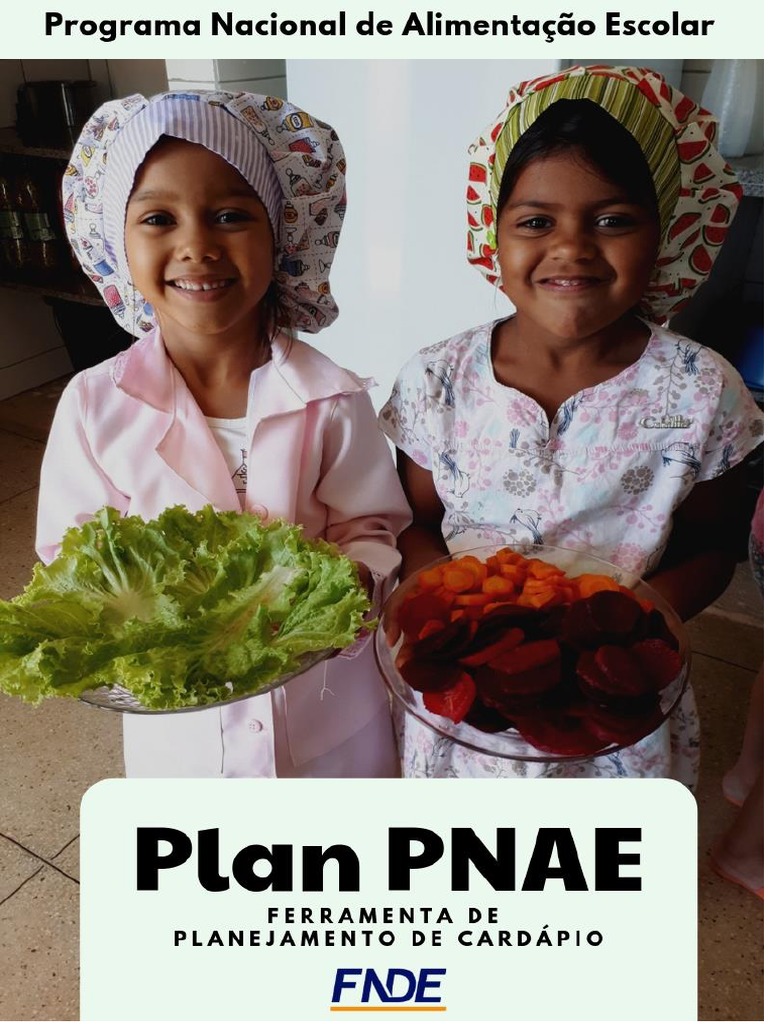 O PNAE e a ferramenta PLAN PNAE | PDF | Nutricionista | Quilograma