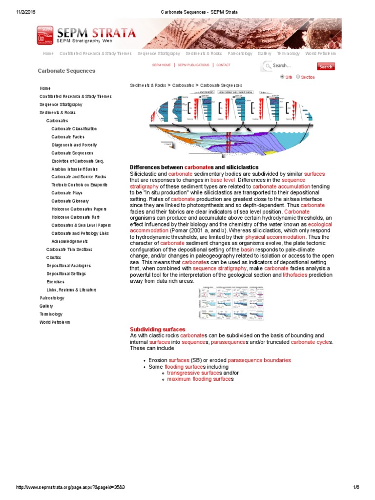 Carbonate Sequences - SEPM Strata | PDF | Sedimentary Rock | Stratigraphy
