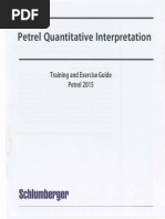 Petrel Reservoir Engineering Training Guide | PDF | Modeling And ...