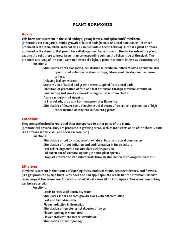 An In-Depth Analysis of the Functions and Locations of the Main Plant ...