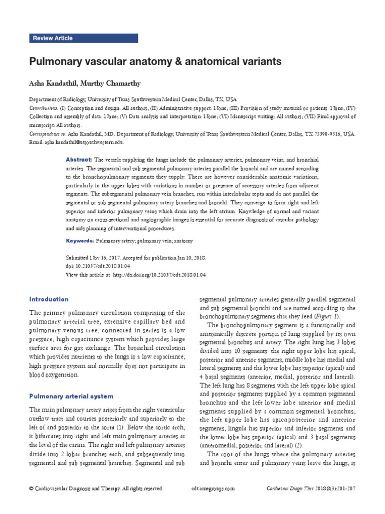 Pulmonary Vascular Anatomy & Anatomical Variants: Asha Kandathil ...