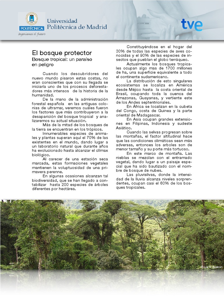 Como La Contaminación Pone en Peligro A Los Bosques Tropicales | PDF ...