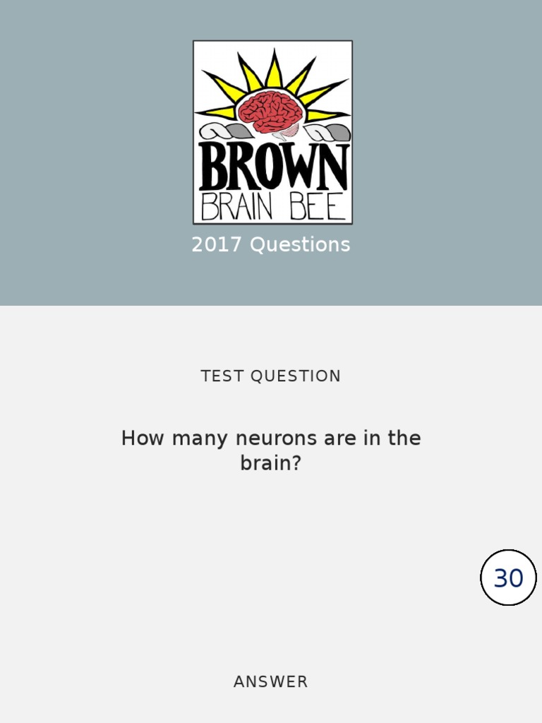 2017 Brain Bee Competition Questions | PDF | Nervous System | Medical ...