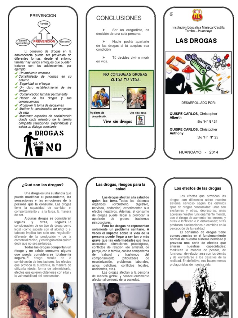 Triptico de Las Drogas | Descargar gratis PDF | La dependencia de sustancias | Neurociencia