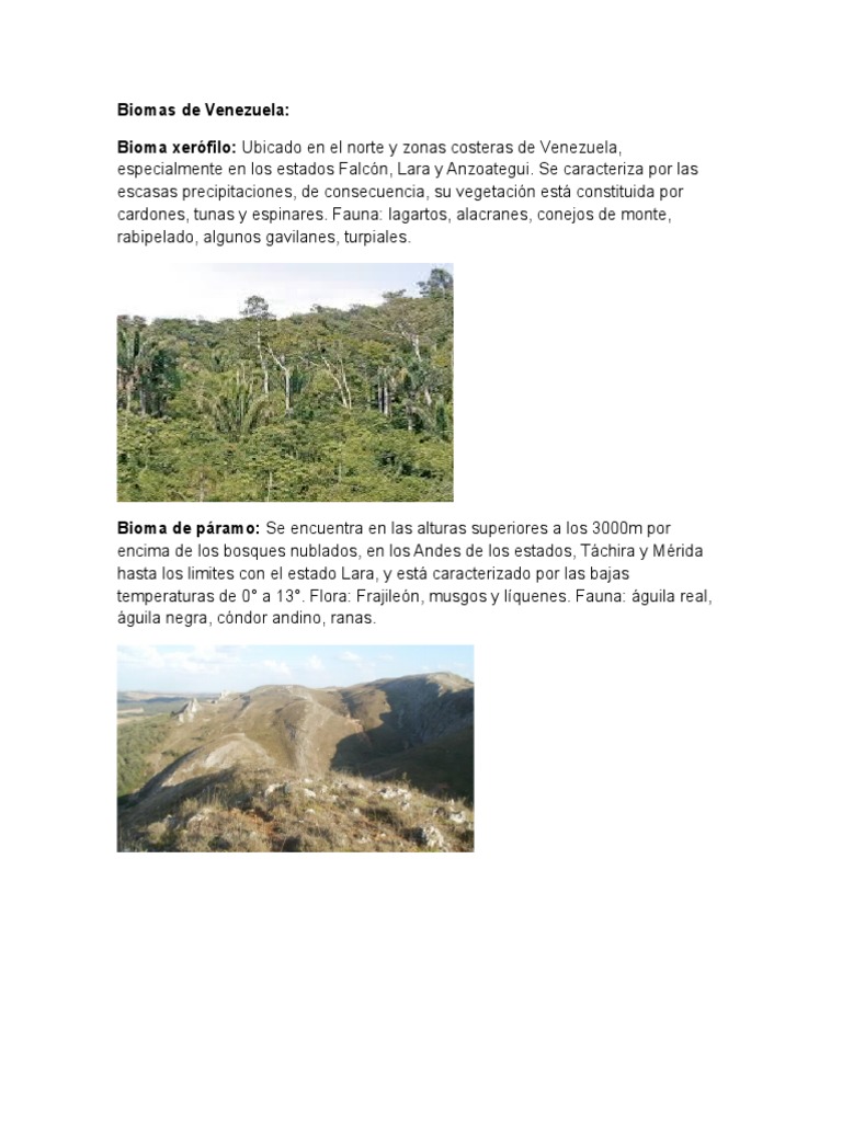 Biomas de Venezuela y su biodiversidad | PDF | Andes | Selva