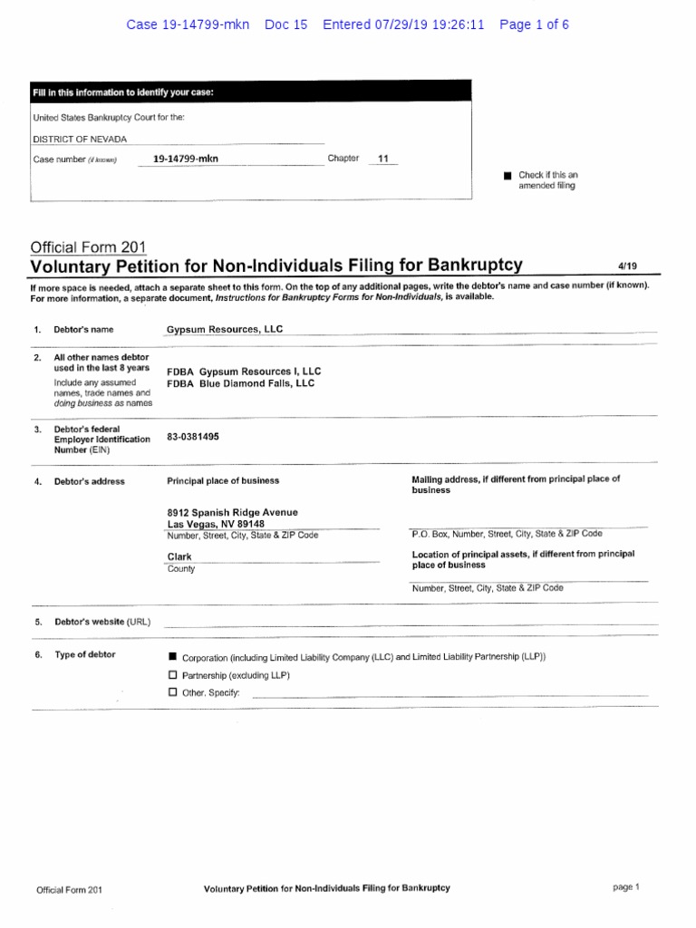 Voluntary Petition For Chap 11 Bankruptcy | PDF